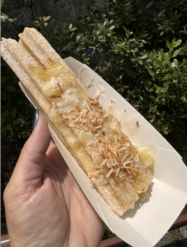 Summer Disneyland Churros - The Disney Scoop